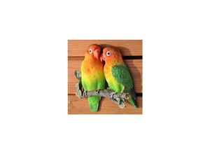 4251639200040 - Dazikemo Dekofigur Wandfigur Lovebirds Vögel