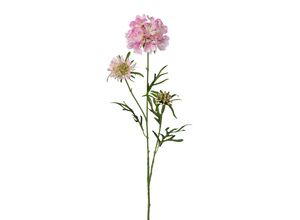 4003529698365 - Kunstblume SCABIOSAZWEIG (H 75 cm)