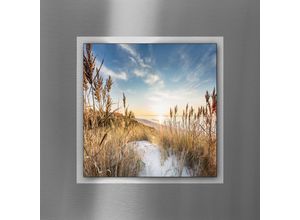 4019449472671 - PRO ART Aludibondbild WILDERSTRAND (BHT 50x50x170 cm) BHT 50x50x170 cm bunt Alubild Metallbild