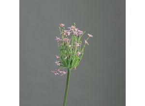 4027234881560 - Kunstblume Allium (H 70 cm) H 70 cm lila Pflanze Kunstpflanze Zimmerpflanze