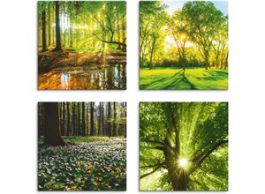 4058661124593 - Leinwandbild ARTLAND Wald Bach Frühling Windrosen Sonne Baum Bilder Gr B H 40 cm x 40 cm Leinwandbild Wald quadratisch 4 St grün Bild Leinwandbild Leinwandbilder Bilder 4er Set verschiedene Größen