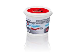 4016471079793 - EASYmaxx WC Intensivschaum 15 kg