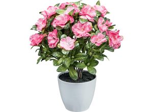 4064118138549 - Kunstblume CREATIV GREEN Azaleenbusch rosa (dunkelrosa) H32cm Obermaterial 85% Polyester 15% Polyethylen Kunstpflanzen