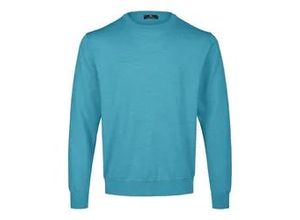 4065691386921 - Rundhals-Pullover türkis 58