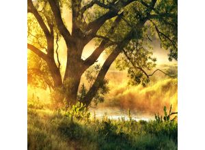 4019449462603 - Glasbild MISTY LANDSCAPE I (BHT 30x30x130 cm) PRO ART