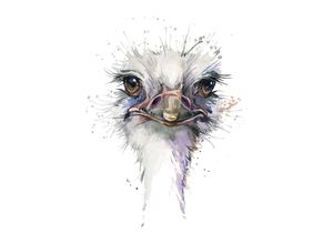 4049009358244 - Leinwandbild »Vogelstrauss« Kunst-Vogelbilder-Vögel Premium-Leinwandstoff Handarbeit aus Deutschland