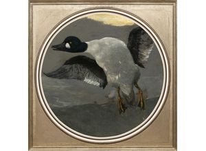 4049009352143 - Acrylglasbild »Ente« Kunst-Vögel-Vogelbilder-Ente-Enten-Gemälde Fine Art-Print in Galeriequalität