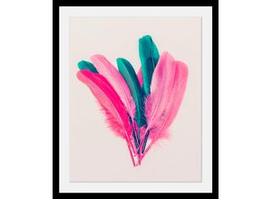 4049009354239 - Bild QUEENCE Federn Bilder Gr B H T 40 cm x 50 cm x 3 cm bunt Kunstdrucke Bilder in 3 Größen gerahmt
