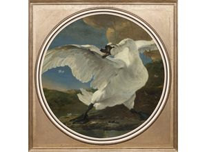 4049009363859 - Acrylglasbild »Weisser Schwan« Kunst-Vögel-Vogelbilder-Ente-Enten-Gemälde Fine Art-Print in Galeriequalität