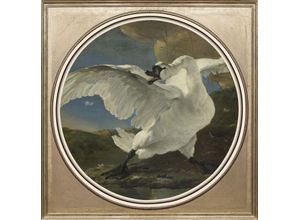 4049009081876 - Acrylglasbild »Schwan« Kunst-Vögel-Vogelbilder-Ente-Enten-Gemälde Fine Art-Print in Galeriequalität