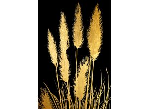 4067437736595 - Acrylglasbild Pampas Gras - Acrylbilder mit Blattgold veredelt Bilder Gr B H 60 cm x 90 cm Acrylglasbild mit Blattgold 1 St goldfarben (gold) Acrylglasbilder Goldveredelung Handgearbeitet Gerahmt Edel