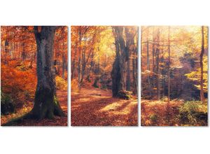 4047809885878 - Acrylglasbild QUEENCE Herbstwald 3-teilig Bilder Gr B H 120 cm x 60 cm Acrylglasbild Wald Querformat 1 St braun Acrylglasbilder