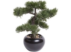 8714344265194 - Kunstbonsai BOTANIC-HAUS Ceder Bonsai grün B32cm H34cm T32cm Ø32cm Kunststoff Kunstpflanzen