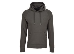4260695631743 - Hoodie Smoke Grey (unisex) CUSHER