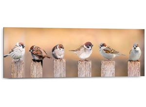 8714597563269 - Holzbild REINDERS Deco Panel 30x90 Bird Family Bilder Gr B H T 90 cm x 30 cm x 2 cm Querformat braun Holzbilder Bilder