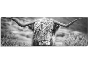 8714597598674 - Wandbild REINDERS Wandbild Highlander Bulle Tiermotiv - Nahaufnahme Hochlandrind Bild Bilder Gr B H 156 cm x 52 cm Kuh 1 St schwarz (schwarz weiß) Kunstdrucke