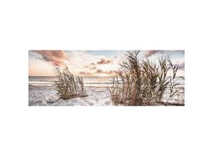 4260770611363 - Glasbild  Mehrfarbig  Glas  Strand & Meer  rechteckig  33x98x140 cm  Fotografie einfache und schnelle Anbringung glänzend  Bilder