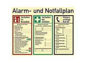 4060081052172 - moedel Hinweisschild „Alarm- und Notfallplan“ 3-spaltig EN ISO 7010 Leuchtklasse C 160 mcd m² L 480 x B 620 mm Kunststoff mehrfarbig