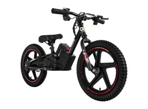 4056551236814 - Elektro-Laufrad 16 Zoll Kinder-Balance-Bike m 250 Watt Scheibenbremsen 3 Geschwindigkeitsstufen (Rot)