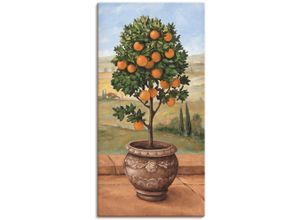 4055327160506 - Wandbild ARTLAND Orangenbaum Bilder Gr B H 50 cm x 100 cm Leinwandbild Bäume 1 St grün Bild Metallbild Metallbilder Bilder als Alubild Leinwandbild Wandaufkleber oder Poster in versch Größen