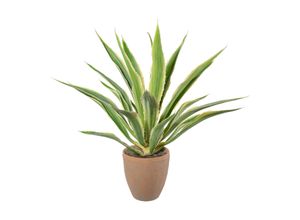 4064118893837 - Kunstpflanze Agave