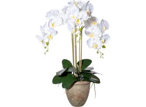 4064118180968 - Kunstorchidee Orchidee Phalaenopsis Orchidee Creativ green Höhe 3 cm mit traumhaft schönen Blüten weiß