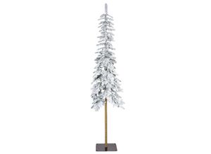 8719152783298 - Schneebedeckter Weihnachtsbaum aus Alpentanne Ø50 x h 210 cm