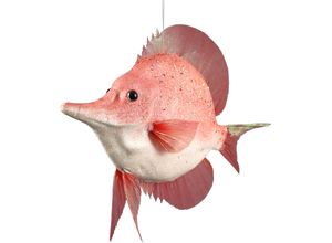 4056422132139 - Dekofigur AM DESIGN Styropor-Fisch rosa (rosé) B45cm H14cm T14cm Styropor Dekofiguren Osterdekoration