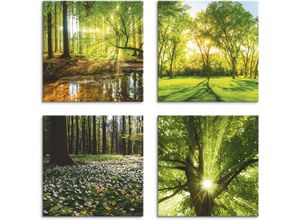 4058661124593 - Leinwandbild ARTLAND Wald Bach Frühling Windrosen Sonne Baum Bilder Gr B H 40 cm x 40 cm Leinwandbild Wald quadratisch 4 St grün Bild Leinwandbild Leinwandbilder Bilder 4er Set verschiedene Größen