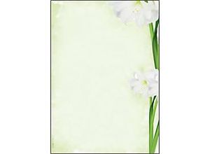 4004360814105 - SIGEL Motivpapier Green Flower Motiv DIN A4 90 g qm 25 Blatt