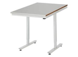 4040376070227 - Rau Werktisch Adlatus elektrisch höhenverstellbar 25 mm MDF-Platte mit Stahlblechbelag 300 kg B 750 x T 1000 x H 720-1120 mm silber lichtgrau 4040376070227 - Rau Werktisch Adlatus elektrisch höhenverstellbar 25 mm MDF-Platte mit Stahlblechbelag 300 kg B 750 x T 1000 x H 720-1120 mm silber lichtgrau