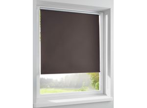 6952540657494 - Jalousie HEINE HOME Gr 1 braun (mocca) B45cm H150cm Jalousien