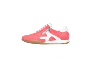 4099595999161 - H-Pamela Damen Sporthalbschuhe