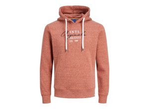 5715311990593 - Jack & Jones Hoodie Willowbranding Kapuzensweatshirt