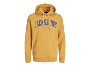 5715423942053 - Jack & Jones Hoodie Josh Kapuzensweatshirt