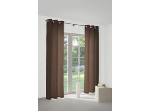4004567092665 - Vorhang WIRTH NEUFAHRN Gr 1 braun B135cm H145cm Jacquard Polyacryl Polyester Gardinen