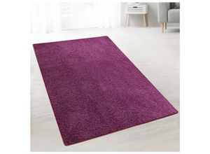4064149202554 - Floordirekt Shaggy-Teppich Barcelona 21721 Berry Rechteckig 800 mm x 4000 mm