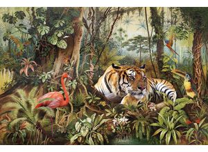 4050743076721 - Glasbild FLAMINGO TRIFFT TIGER (BHT 150x100x40 cm) BHT 150x100x40 cm bunt Acrylglasbild