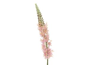8720725761018 - Kunstblume Fuchsschwanz (DH 8x96 cm) DH 8x96 cm pink Pflanze Kunstpflanze Zimmerpflanze
