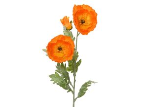 8720725483767 - Kunstblume MOHN