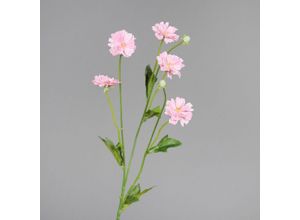 4027234969336 - Kunstblume COSMEA (H 70 cm)