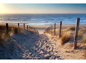 4050743033632 - Kunstdruck SANDWEG ZUM MEER (LB 80x120 cm) LB 80x120 cm bunt Bild Gemälde Wandbild