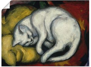 4058661196842 - Wandbild ARTLAND Die weisse Katze 1912 Bilder Gr B H 60 cm x 45 cm Poster Haustiere 1 St weiß Bild Metallbild Metallbilder Bilder als Alubild Leinwandbild Wandaufkleber oder Poster in versch Größen