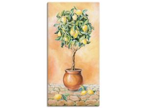 4055327157537 - Wandbild ARTLAND Zitronenbaum I Bilder Gr B H 30 cm x 60 cm Leinwandbild Pflanzen 1 St beige (naturfarben) Bild Metallbild Metallbilder Bilder als Alubild Leinwandbild Wandaufkleber oder Poster in versch Größen