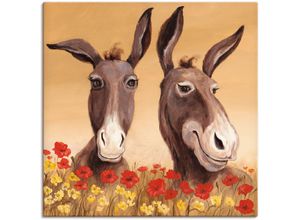 4055327147491 - Wandbild ARTLAND Esel Bilder Gr B H 70 cm x 70 cm Leinwandbild Haustiere 1 St beige (naturfarben) Bild Metallbild Metallbilder Bilder als Alubild Leinwandbild Wandaufkleber oder Poster in versch Größen