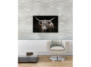 4032295091810 - Leinwandbild BÖNNINGHOFF Hochlandrind Bilder Gr B H T 90 cm x 60 cm x 18 cm Kuhbilder Querformat 1 St schwarz (schwarz beige) Leinwandbilder BxH 90x60 cm