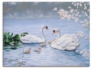 4055327486675 - Wandbild ARTLAND Stolze Schwanenfamilie Bilder Gr B H 40 cm x 30 cm Leinwandbild Vögel Querformat 1 St weiß Bild Leinwandbild Kunstdrucke Bilder als Leinwandbild Wandaufkleber oder Poster in versch Größen 4055327486675 - Wandbild ARTLAND Stolze Schwanenfamilie Bilder Gr B H 40 cm x 30 cm Leinwandbild Vögel Querformat 1 St weiß Bild Leinwandbild Kunstdrucke Bilder als Leinwandbild Wandaufkleber oder Poster in versch Größen