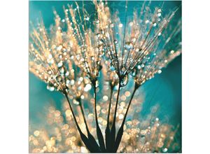 4058661285317 - Wandbild ARTLAND Pusteblume Schirmchen abstrakt Bilder Gr B H 40 cm x 40 cm Alu-Dibond-Druck Blumen 1 St blau Bild Kunstdruck Kunstdrucke Bilder als Alubild Leinwandbild Wandaufkleber oder Poster in versch Größen 4058661285317 - Wandbild ARTLAND Pusteblume Schirmchen abstrakt Bilder Gr B H 40 cm x 40 cm Alu-Dibond-Druck Blumen 1 St blau Bild Kunstdruck Kunstdrucke Bilder als Alubild Leinwandbild Wandaufkleber oder Poster in versch Größen