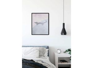 4055065153198 - Bild KOMAR Wild and Free Fox bunt (farbe bild(er) bunt) B50cm H70cm Papier Holz Bilder Wandbild zur Dekoration - ohne Rahmen 4055065153198 - Bild KOMAR Wild and Free Fox bunt (farbe bild(er) bunt) B50cm H70cm Papier Holz Bilder Wandbild zur Dekoration - ohne Rahmen