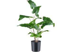 4064118241287 - Kunstpflanze CREATIV GREEN Colocasia esculenta grün H50cm Kunststoff Kunstpflanzen mit detailgetreuem Blattwerk